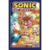 Sonic the Hedgehog Sonic the Hedgehog, Vol. 10: Test Run!, (Paperback ...