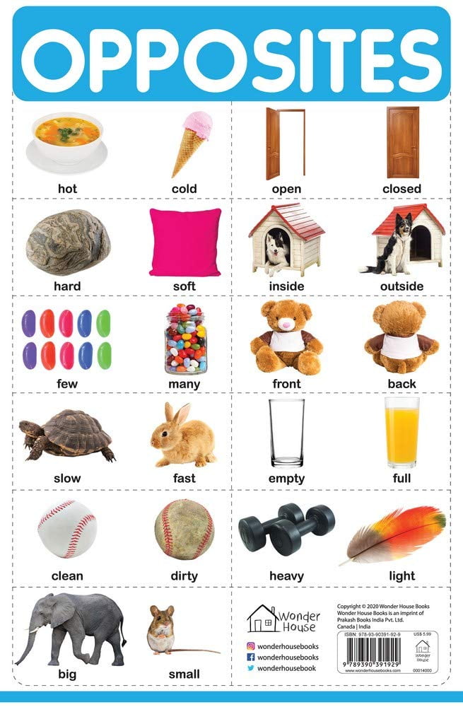 Opposites: My First Early Learning Wall Chart by Wonder House Books ...