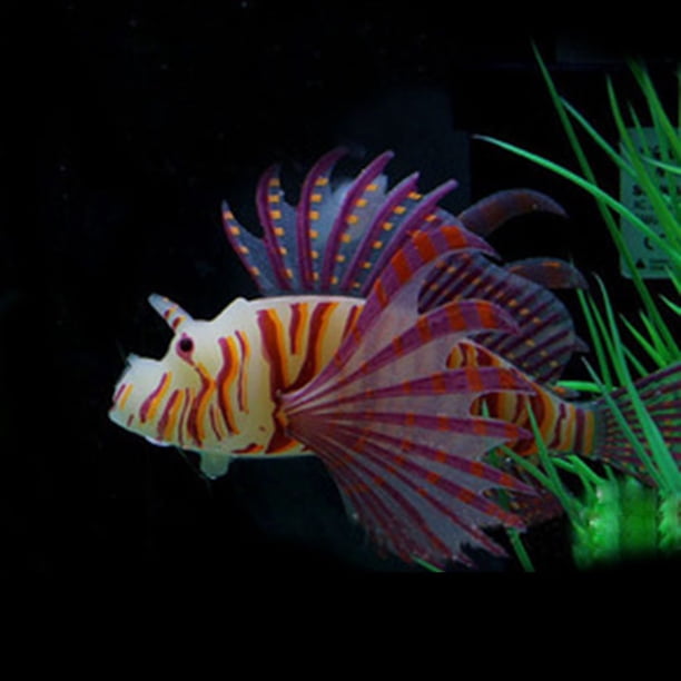 yingyy Landscaping Aquarium Decor Fluorescent Simulation Lion fish Glow ...