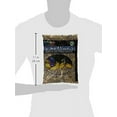 Estes' Natural Shallow Creek Pebble Gravel 5 Lbs X 5 Count - Walmart.com