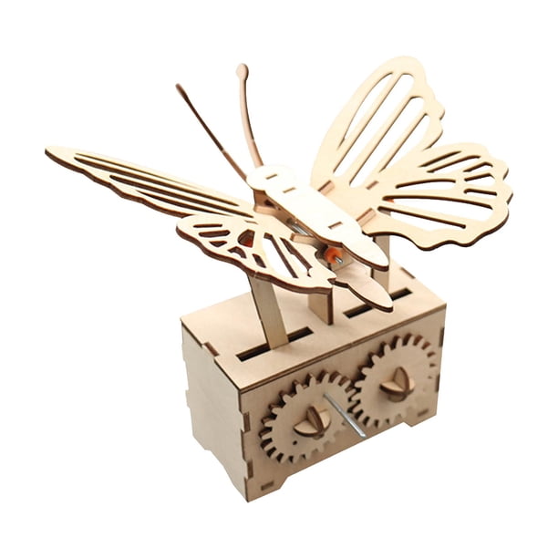 Science Experiment DIY Wooden Science Experiment Model for Children ...