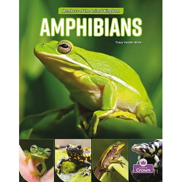 Little Kids First Big Book of Reptiles and Amphibians - Walmart.com