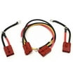 Connect-Ease 12V Dual Parallel Battery Connection Kit with Charger and ...