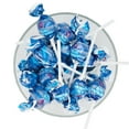Hilco Dark Blue Raspberry Lollipops, 75 Count 14.5 oz, Gusset Bag, No ...