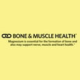 Spring Valley Magnesium Bone & Muscle Health Dietary Supplement Tablets ...