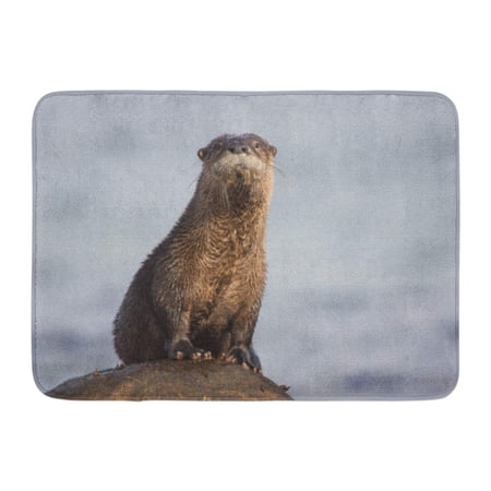 YUSDECOR Animal North American River Otter Lontra Canadensis on Rock in ...