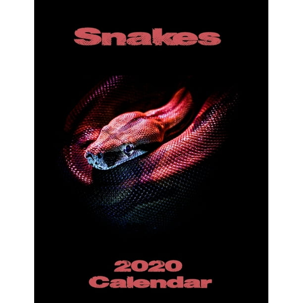 Snakes Calendar 2020 : January -December 2020: Monthly Calendar Nature ...