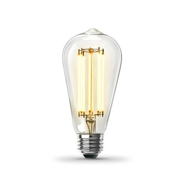 Bulbrite LED Globe Filament Light Bulb, Antique, 40WE, 1 Ct - Walmart.com