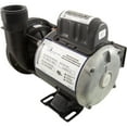 3J10070-1E | Waterway Iron Might Pump 230 Volt - Walmart.com