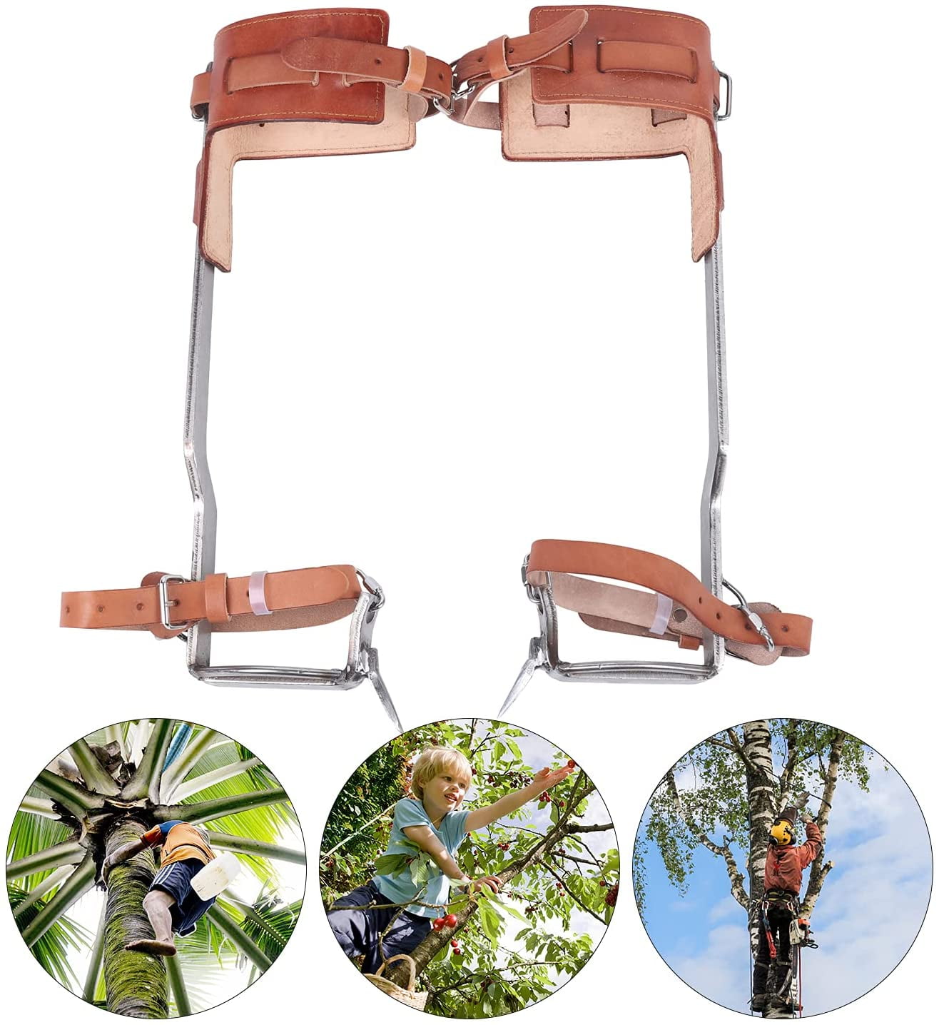 Miumaeov Climbing Spurs Tree Climbing Spikes Non-Slip Tree Climbing ...