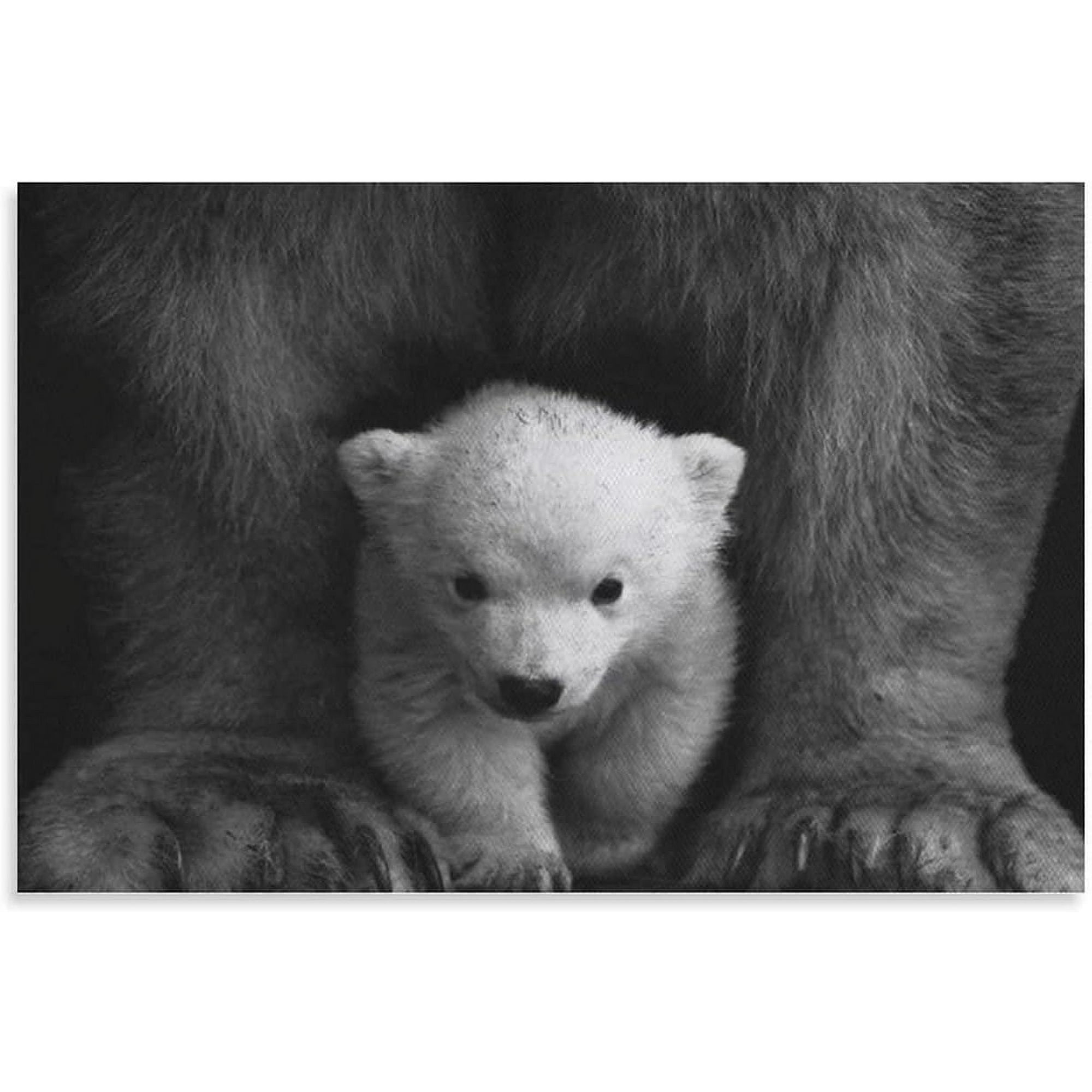 Click here for Pphaosho Polar Bear Poster Frameless Painting Canv... prices