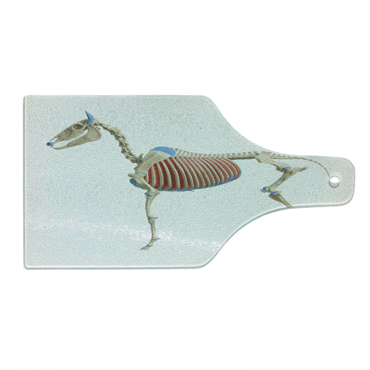 Bones Cutting Board, Animal Anatomy Skeleton System on a Plain Backdrop ...