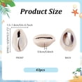 43Pcs Natural Cowrie Shell Beads No Hole Beads Nice for Making ...