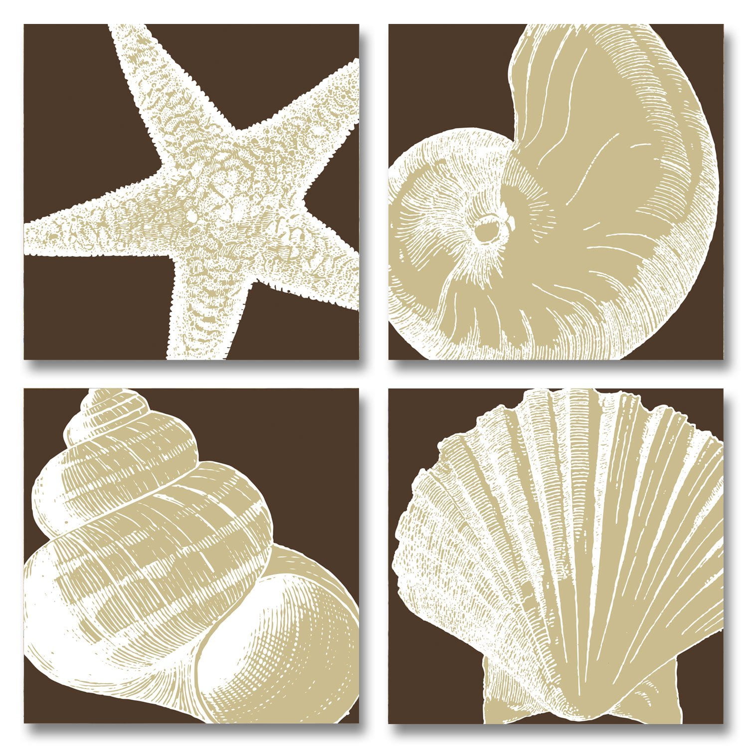 Natural Shell ; Retro Brown and Tan Shell Set; Four 12X12 Poster Prints ...