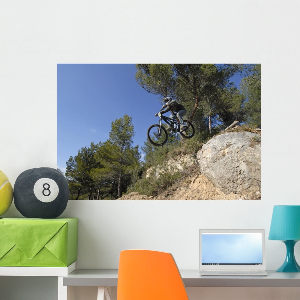 Descente Vtt Wall Mural by Wallmonkeys Peel and Stick Graphic (36 in W ...