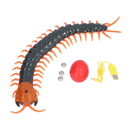 RC Simulation Centipede Model Scary Remote Control Scolopendra Insect ...