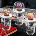 Transparent Aerating Planter Container with Visible Root for Flower and ...