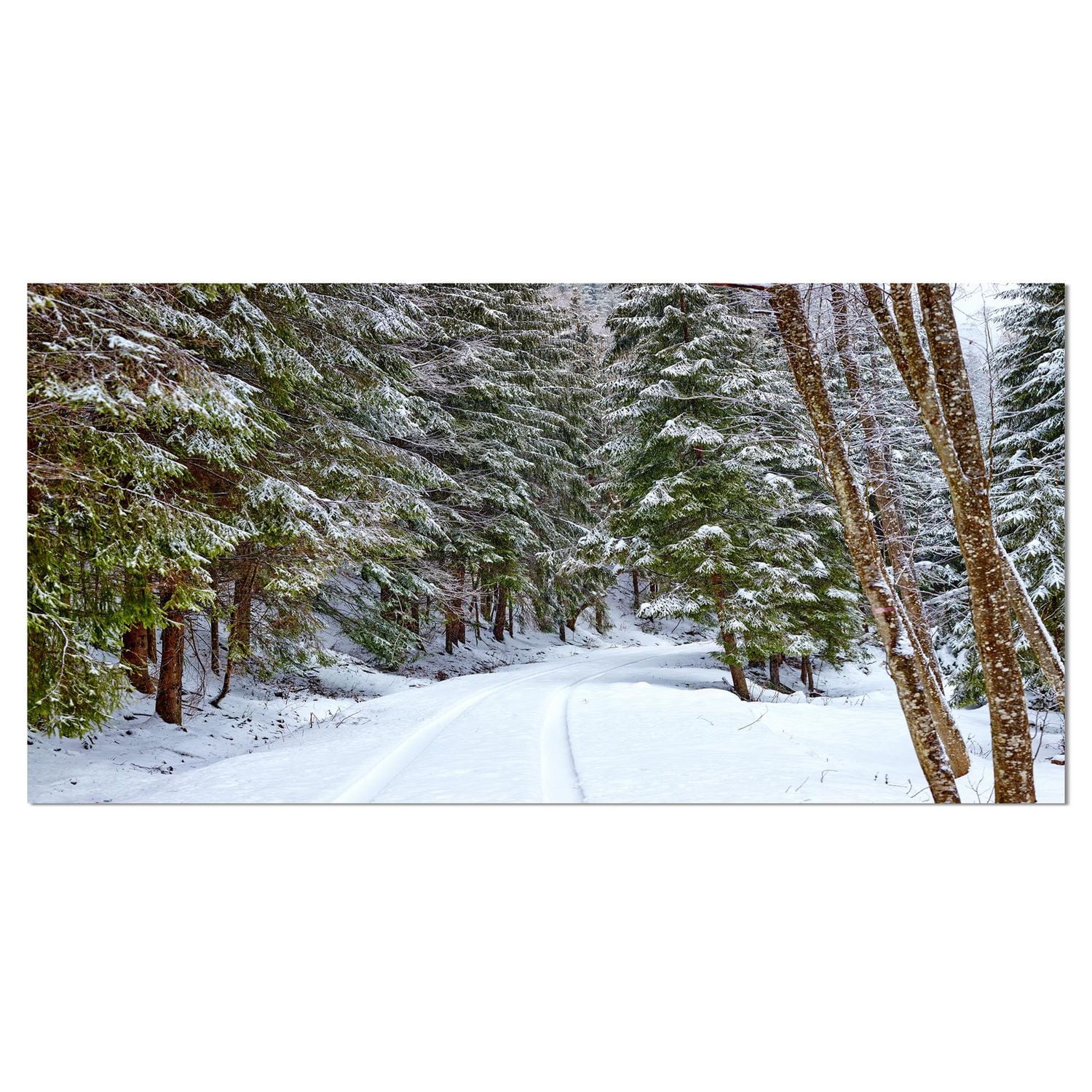 Click here for Designart Snowy Road In The Forest Canvas Wall Art... prices