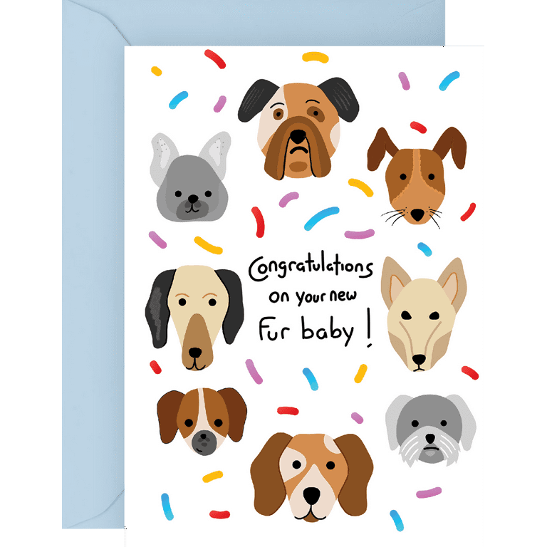 Congratulations Cute Animal