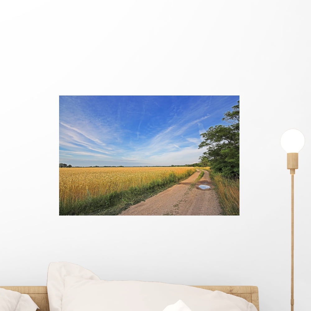 Catcher Rye No Wall Mural Decal Sticker, Wallmonkeys Peel & Stick Vinyl ...