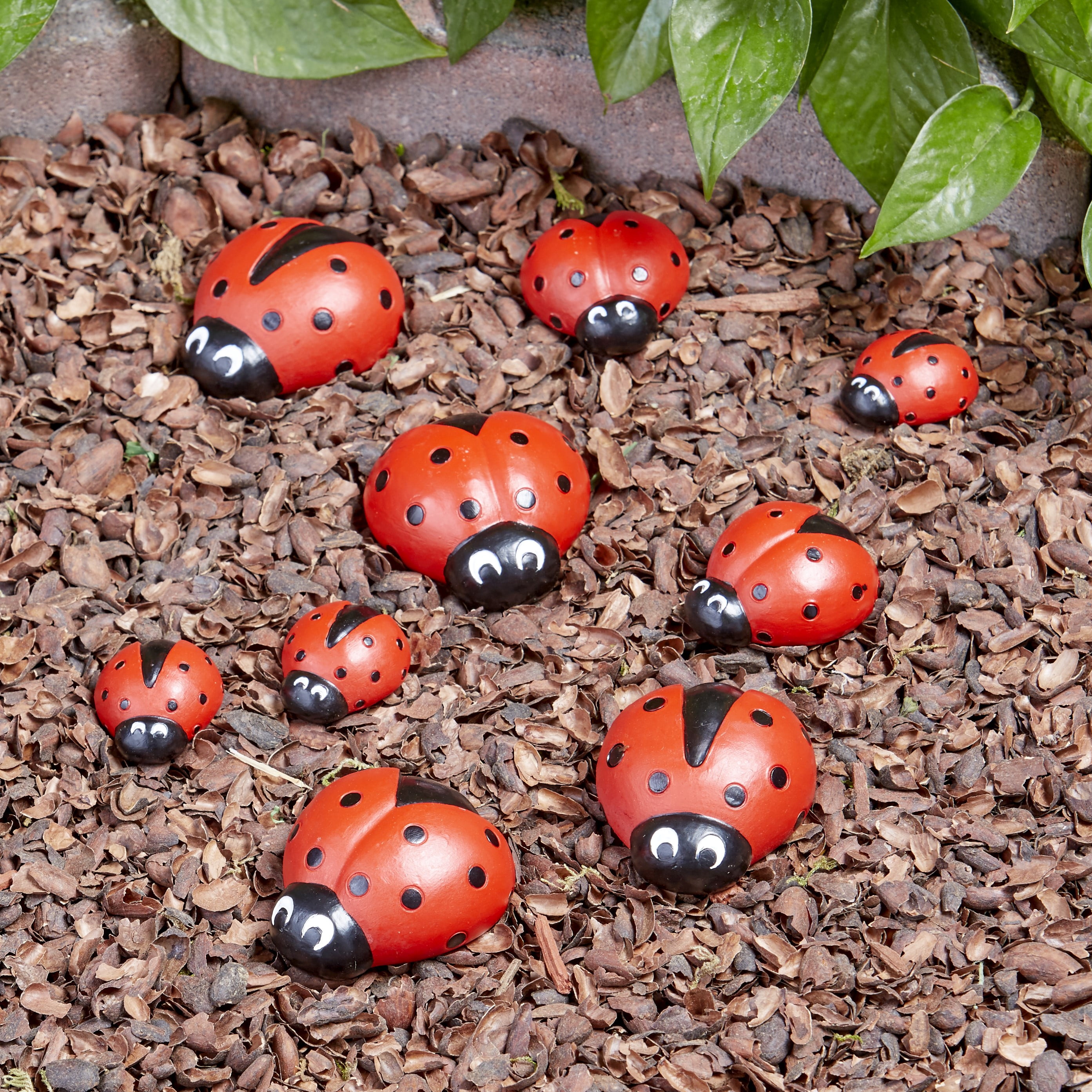 Ladybug Garden Shoes
