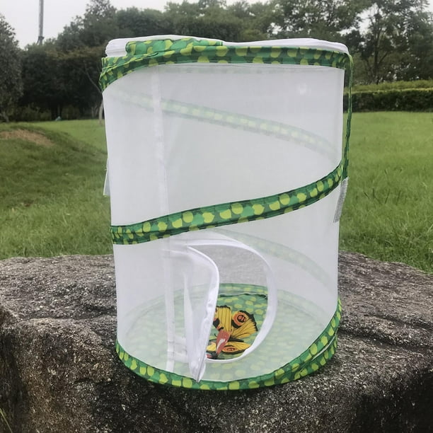 Butterfly Habitat Cage Breeding Incubator Box Insect Observation ...