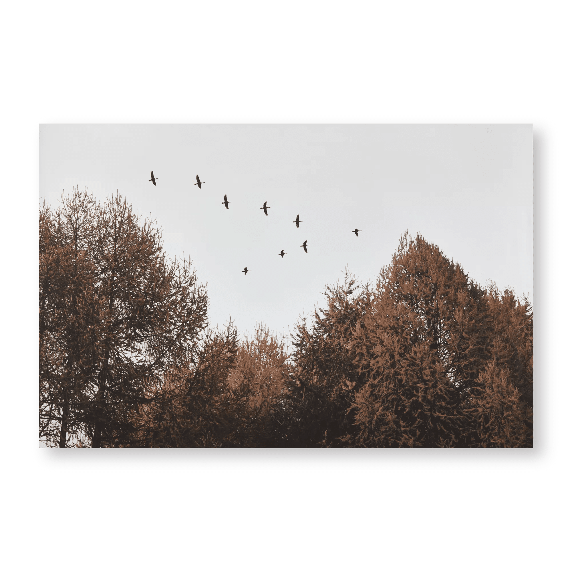Bouclair Wall Art | Walmart.ca