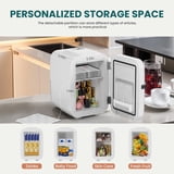 CONCETTA Portable Mini Fridge, 110V AC/ 12V DC Compact Small ...