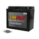 EverStart PowerSport Factory Activated AGM Motorcycle Battery EBX16CL ...