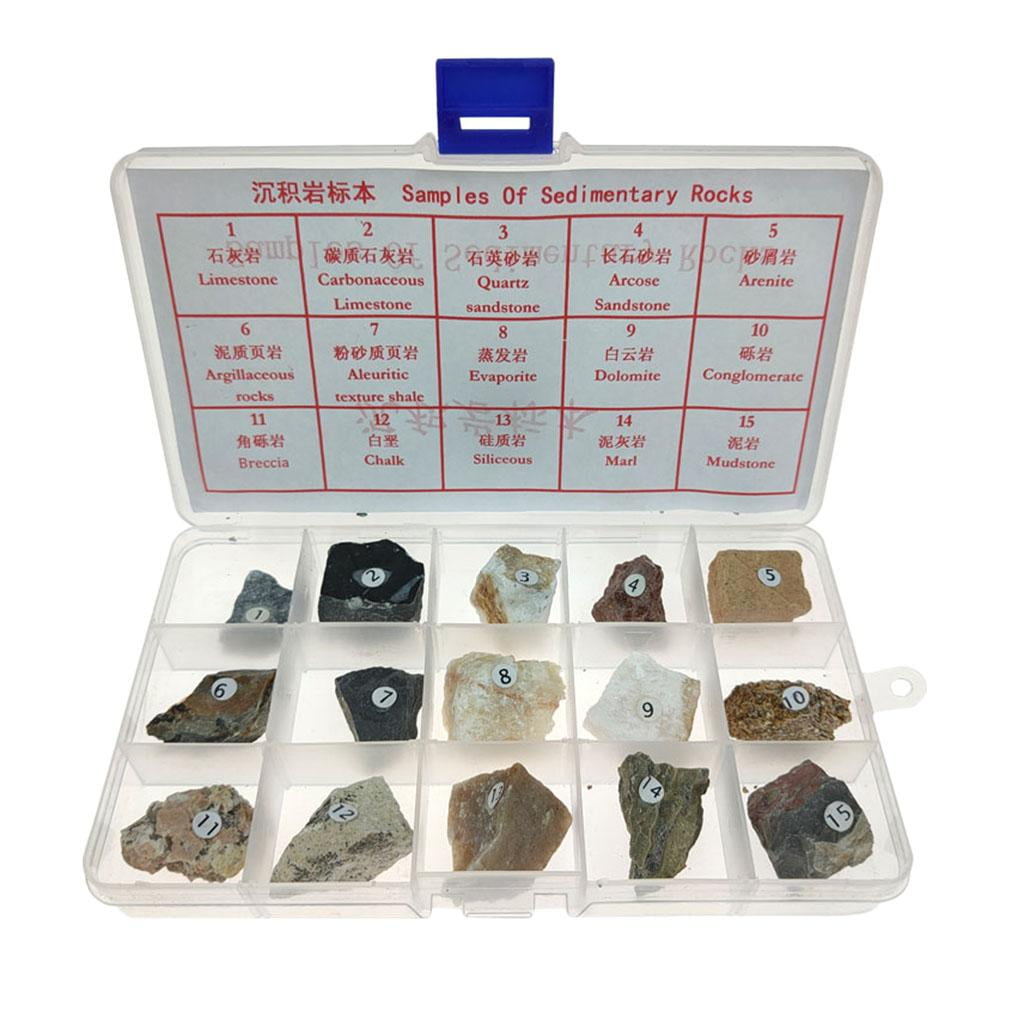 Click here for Bunblic 15 Pieces Sedimentary Rock Mineral Rock Ge... prices