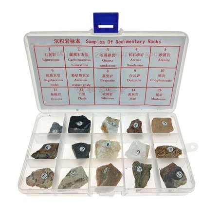 15 Pieces Sedimentary Rock Mineral Rock Kit Geology Science Kit ...