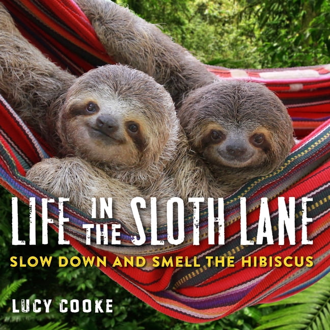 Life in the Sloth Lane - Hardcover - Walmart.com