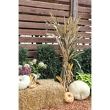 Dried Corn Stalk Bundle - 12 per Bundle - Walmart.com