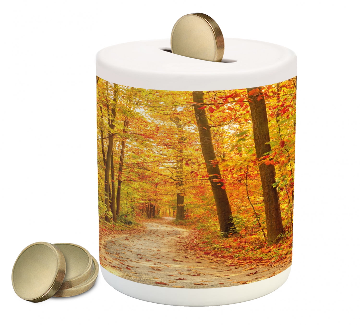 Fall Piggy Bank, Deciduous Trees Seasonal Leaves Pathway Wilderness ...