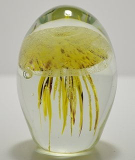 Office Glow in the Dark Paperweight Yellow Jellyfish Paperweights Home ...