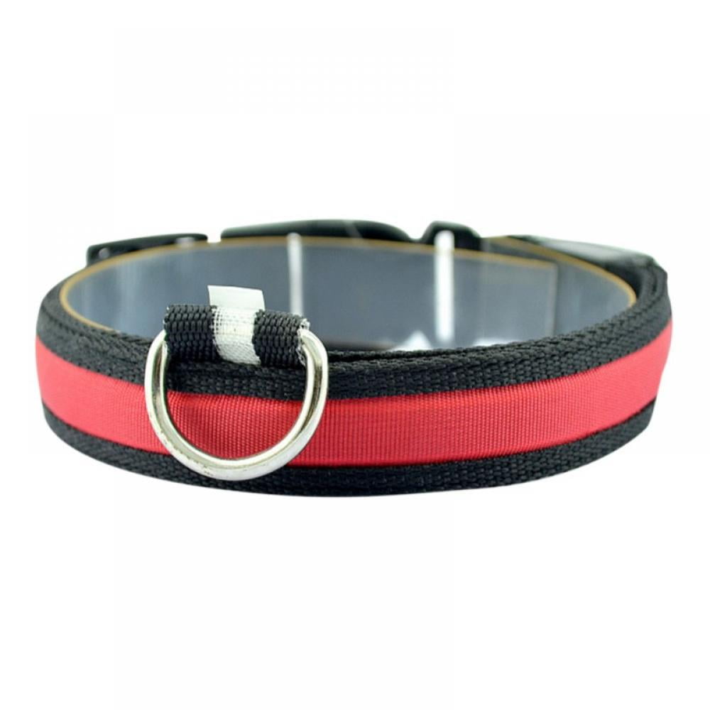 LED Dog Collar – USB Rechargeable with Flashing Light Nylon Webbing ...