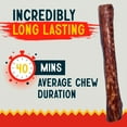 CANINE CHEWS 10" Beef Basted Dog Rawhide Bones | Savory Natural ...