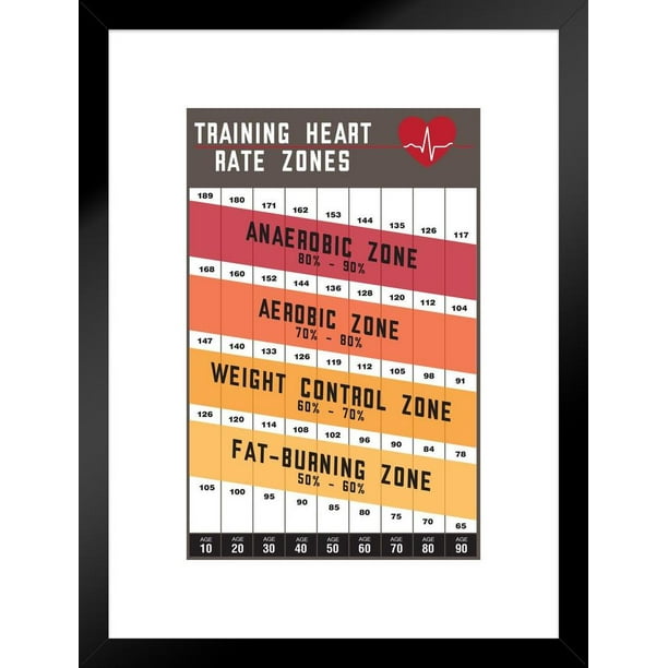 Workout Home Gym Training Heart Rate Zones Gym Fitness Cardio Athletic ...