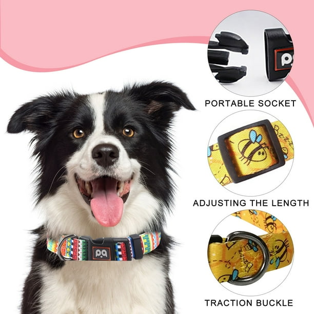 Pet collars and leashes store