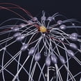 Crab Trap Fishing Net - Wire Crab Pot With 20 Steel Wires 20In Diameter ...