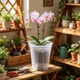 Bowayaoa Breathable Plastic Phalaenopsis Orchid Pot, Slotted Root ...