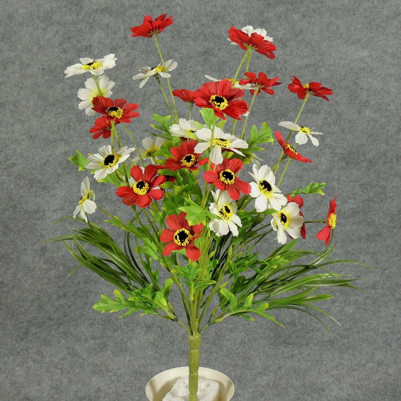 1 Pc, 18 Inch Tall Cosmos Bush In Red & Cream Cosmos Blooms Peek From ...