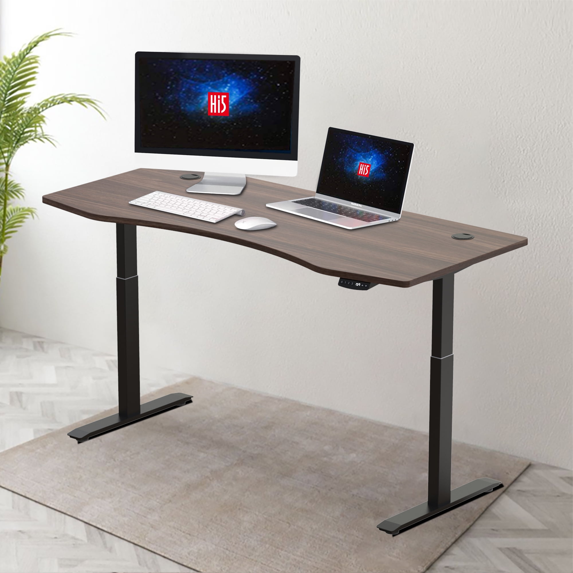Hi5 Ez Electric Height Adjustable Standing Desk with ergonomic ...