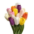 Realistic Touch Artificial Tulips Stems in Multiple Colors - Set of 6 ...