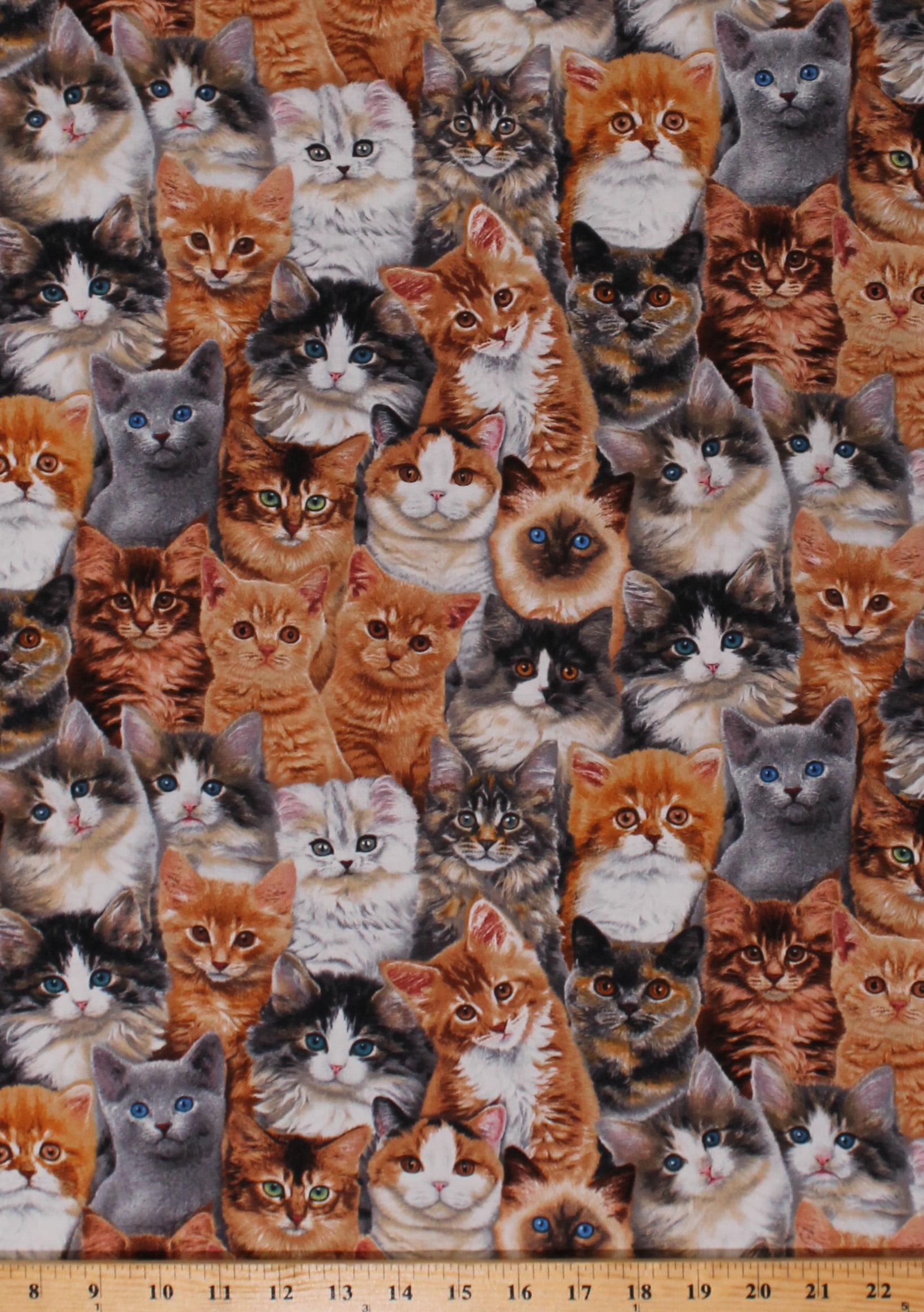 Cotton Cats Allover Cat Breeds Kittens Kitties Animals Feline Adorable ...