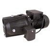 Flotec Home Improvement Thermoplastic Shallow Well Jet Pump FP4012-10 ...
