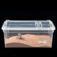 Manunclaims Reptile Small Snake Feeding Box Lizard Tarantula Habitat ...