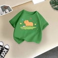 BOOMNY Toddler Girls Short Sleeve T-Shirts Crew Neck Cartoon Capybara ...