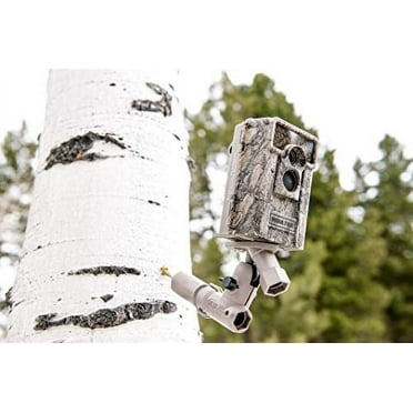 Stealth Cam Steel Lockable Security Bear Box for DS4K Hunting Game ...