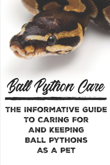 Ball Python Care The Informative Guide To Caring For And Keeping Ball ...